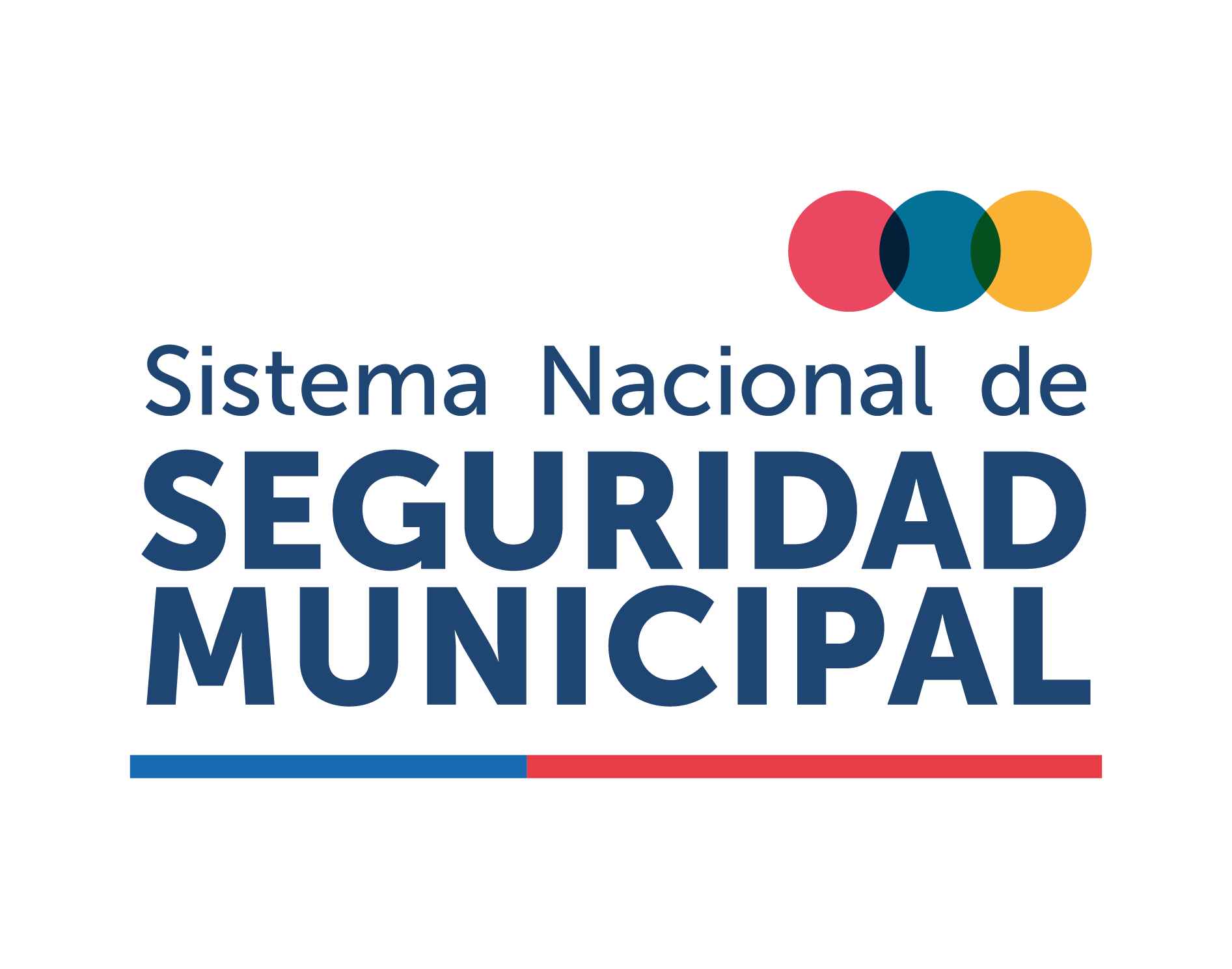 Seguridad Municipal